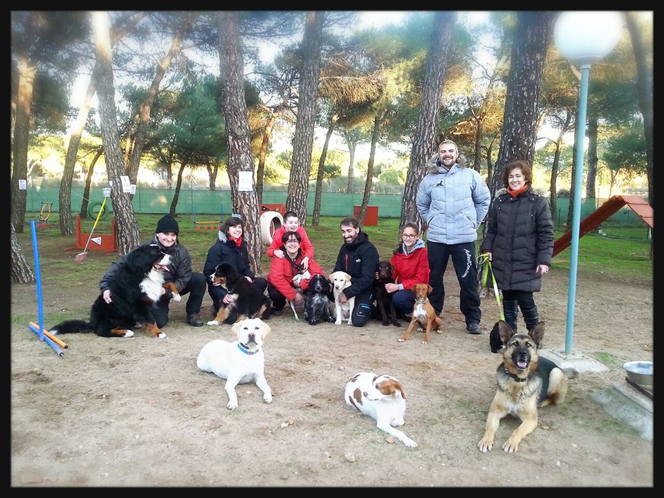 Cursos de Adiestramiento canino en Valladolid Cursos de Adiestramiento canino en Valladolid